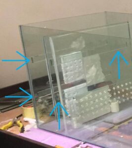 Freshwater Sump Filter - What, Why and How? - Expert Aquarist
