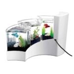 Aqueon Betta Falls Review : Why We Don’t Like It - Expert Aquarist