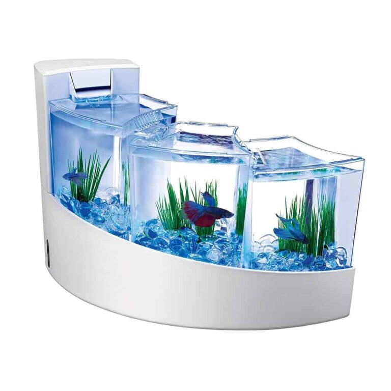 Aqueon Betta Falls Review : Why We Don’t Like It - Expert Aquarist