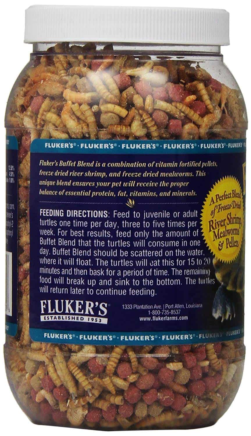 Best Turtle Foods That Are Reliable: [Complete Turtle Feeding Guide]