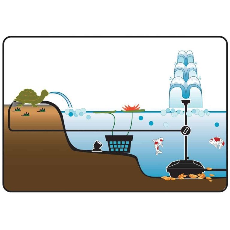 A Comprehensive Guide To The Best Pond Filters in 2021 (Our Top Picks)