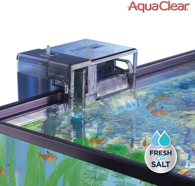 9 Best Hang On Back (HOB) Filters for Aquarium: Reviews & Buyer’s Guides