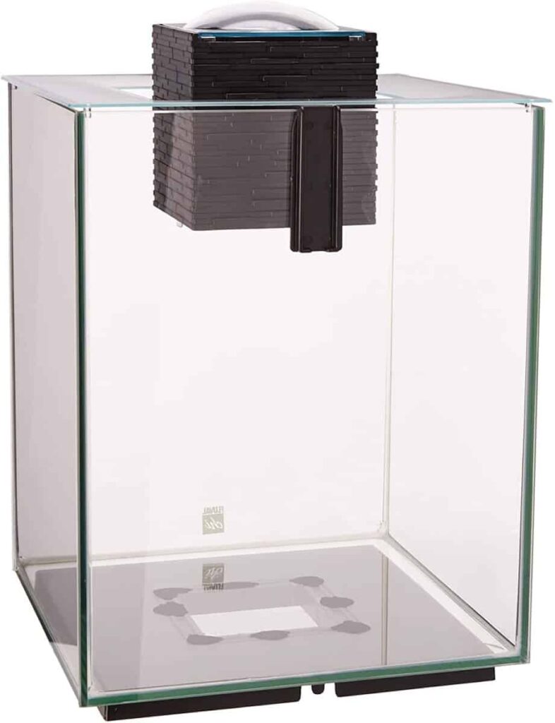 Best 5 Gallon Fish Tank In 2022: [Perfect Startup Kits For Beginners?]