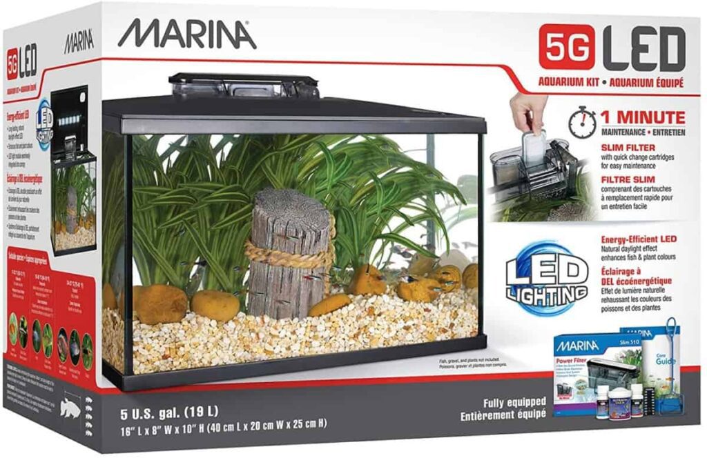 Best 5 Gallon Fish Tank In 2022: [Perfect Startup Kits For Beginners?]