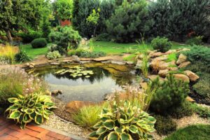 How to Install a Pond Pump: Submersible And External
