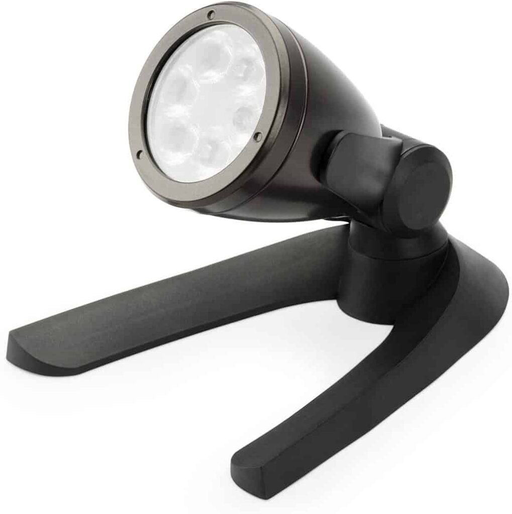 Best Pond Lights: Submersible, Solar & LED Lights