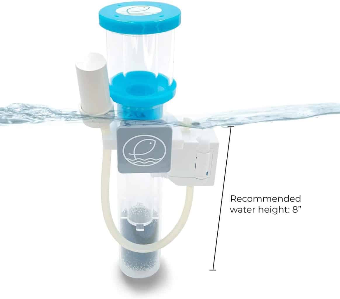 Best Nano Protein Skimmers: [Reviews, Comparison & Buyer’s Guide]