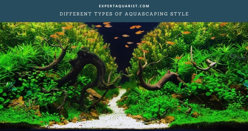 Different Types of Aquascaping Style Explained